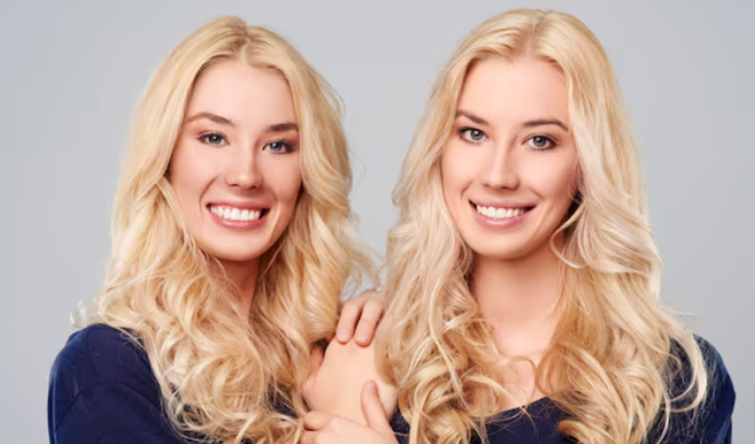Education Volunteer Management System Case Study | Twins UK